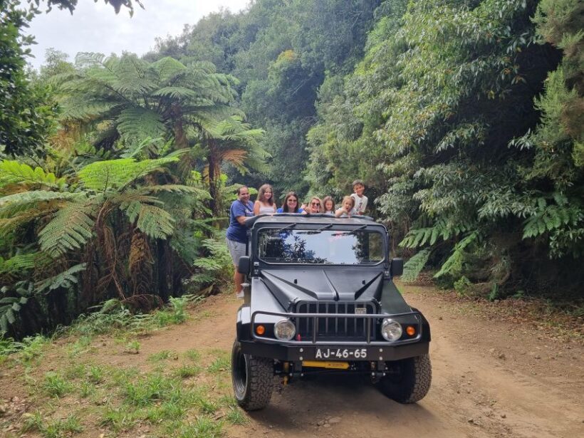 Madeira : SkyWalk, Fanal, Natural Pools 4x4 Jeep Tour - Who is This Tour Best For?