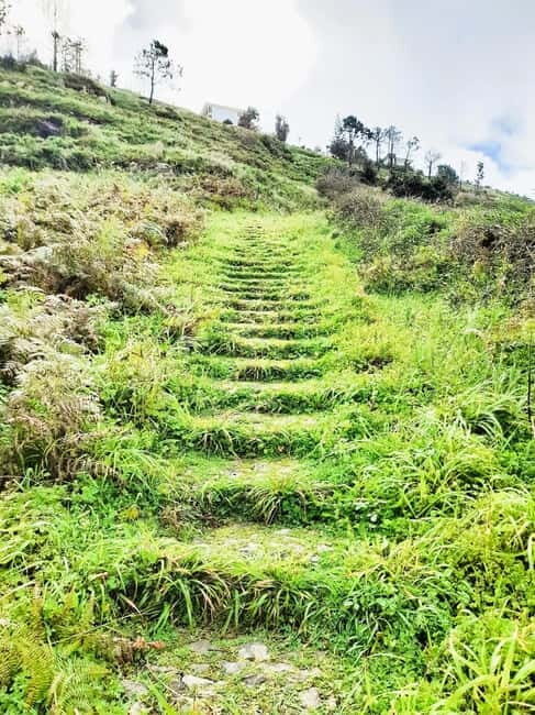 Madeira: South Madeira Private 4x4 Tour with Pickup - Who Should Consider This Tour?