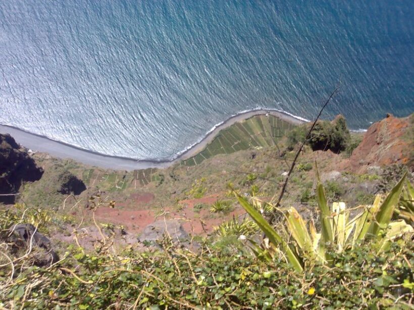 Madeira South West: Half Day Private Tour - Analyzing the Value at $97