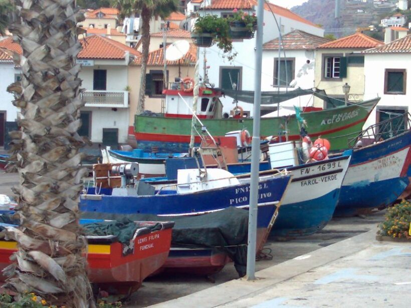 Madeira South West: Half Day Private Tour - The Sum Up