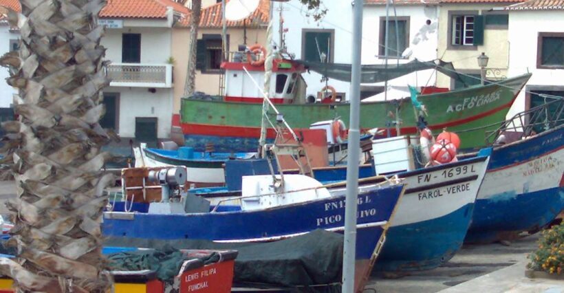 Madeira South West: Half Day Private Tour - FAQ