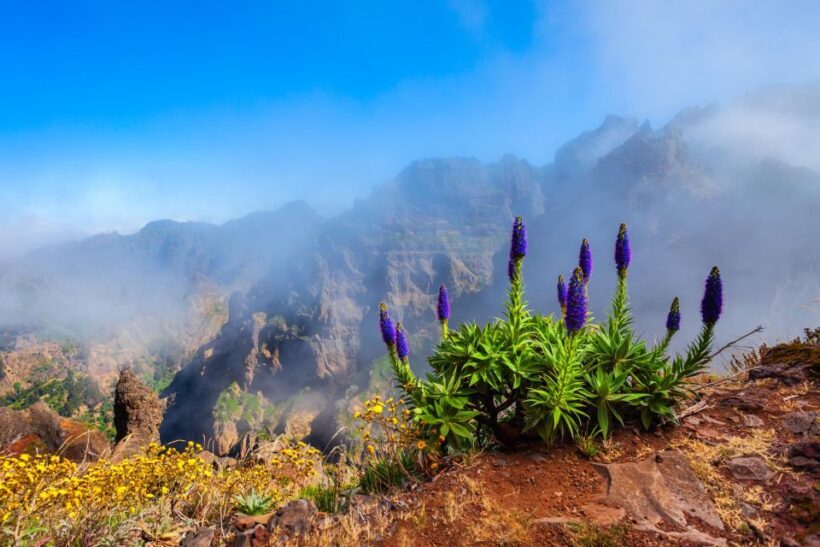 Madeira Stairway to Heaven to Larano Hike Mountain to Sea - The Practical Details
