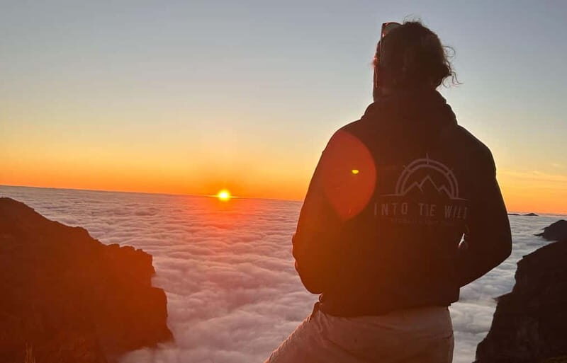 Madeira: Sunrise Experience and Hike with Guide & Pickup - Why Choose the Madeira Sunrise & Hike Tour?