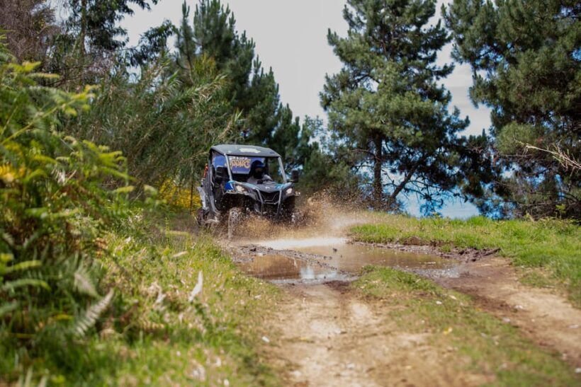 Madeira: Trail Thrill Buggy Tour - An Overview of the Experience
