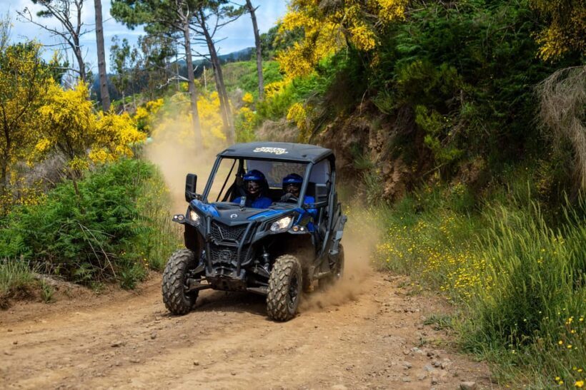 Madeira: Trail Thrill Buggy Tour - The Itinerary in Detail