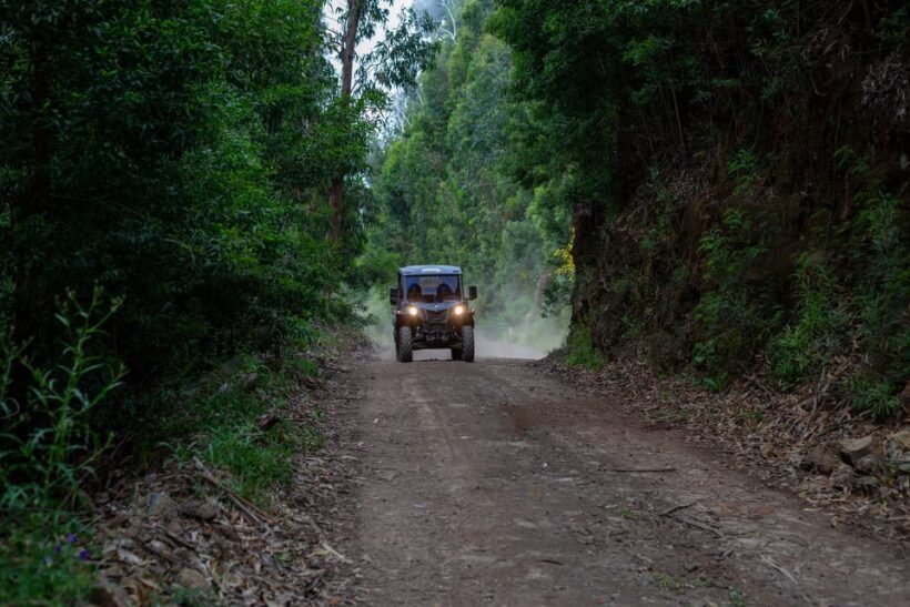 Madeira: Trail Thrill Buggy Tour - Practical Details and Tips