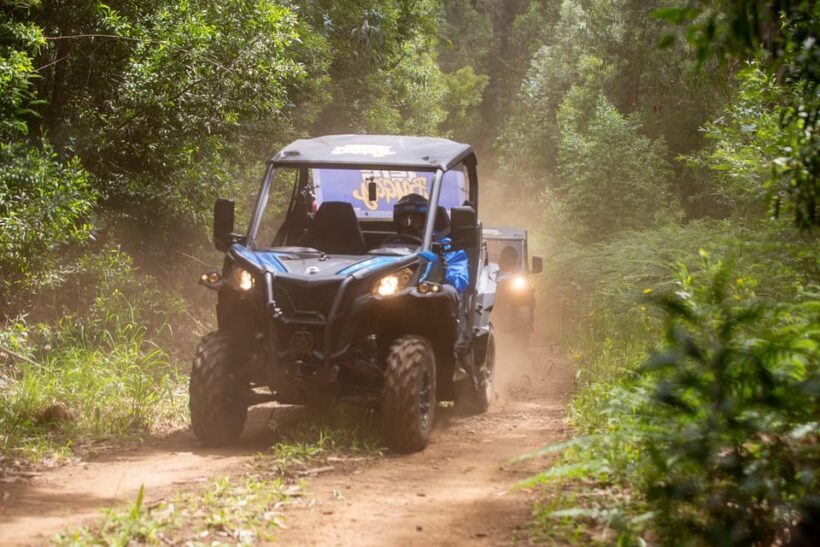 Madeira: Trail Thrill Buggy Tour - Authentic Experiences and Genuine Feedback