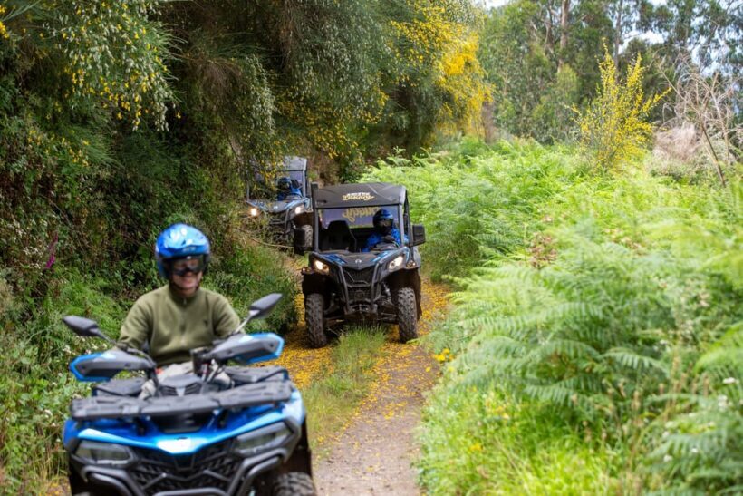 Madeira: Trail Thrill Buggy Tour - Final Thoughts: Is the Trail Thrill Buggy Tour for You?