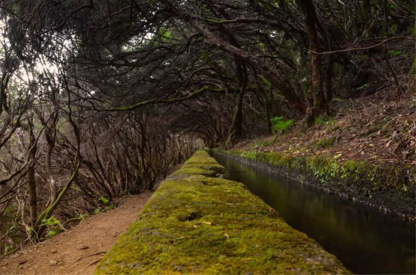 Madeira Walks - Rabaçal and the 25 Fountains - The Bottom Line