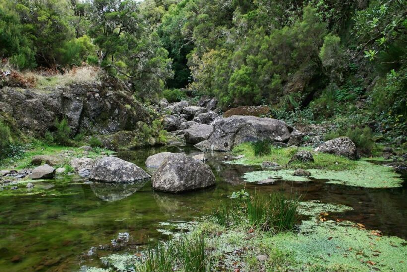 Madeira Walks - Rabaçal and the 25 Fountains - FAQ