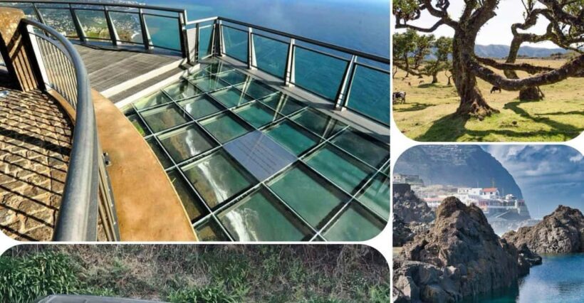 Madeira: West Tour With Guide Fanal Forest SykWalkExperience - Who Will Enjoy This Tour?