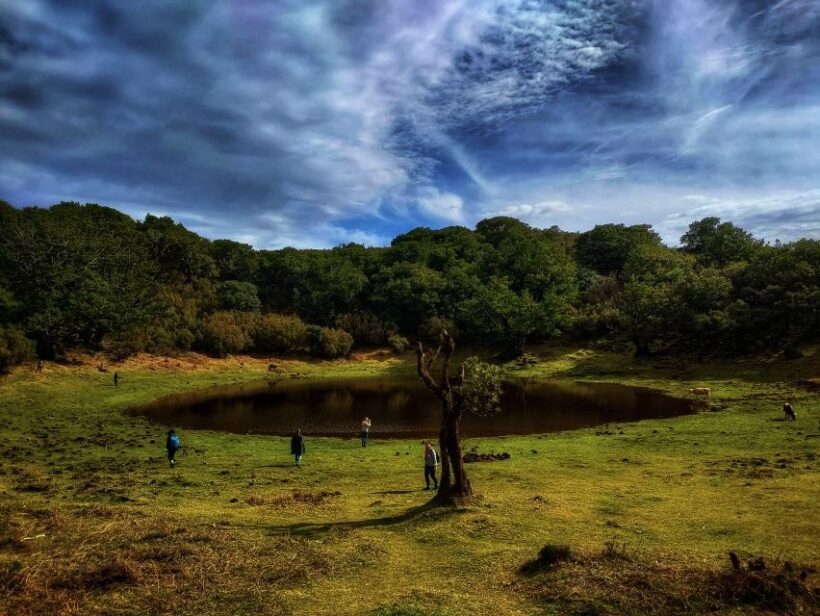 Madeira: Western Madeira Guided Trip & Fanal Mystic Forest - End of the Day: Panoramic Overlook and Reflection