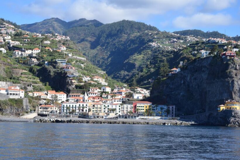 Madeira: Whale and Dolphin Watching Private Cruise - Authentic Experiences Backed by Positive Reviews