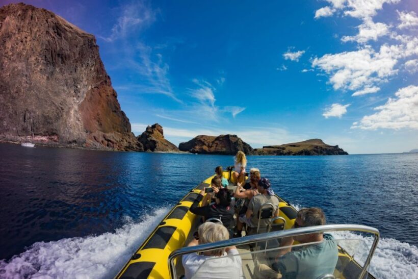 Madeira: Whale and Dolphin Watching Tour - Key Points