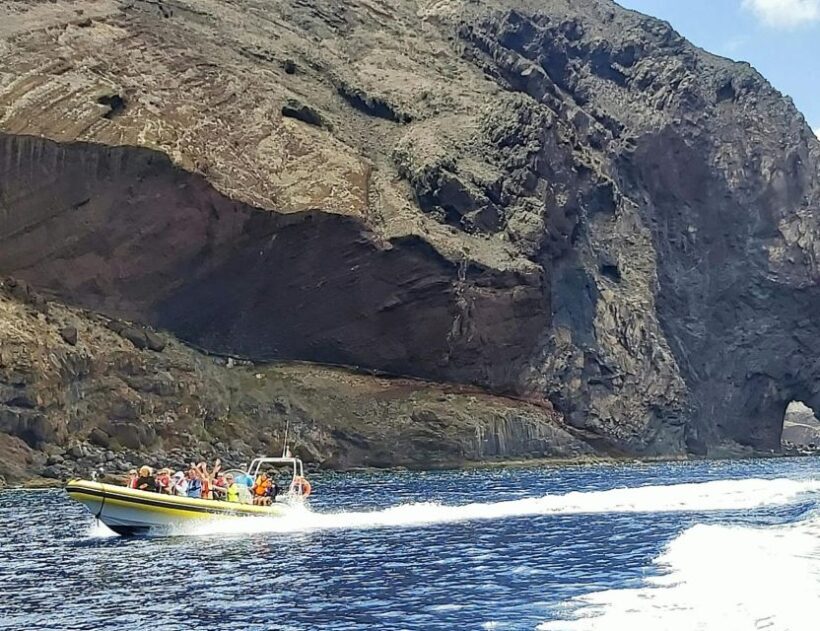 Madeira: Whale and Dolphin Watching Tour - Who Should Consider This Tour?