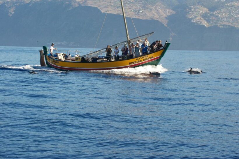 Madeira: Whale Watching Excursion in a Traditional Vessel - The Experience’s Highlights and Challenges