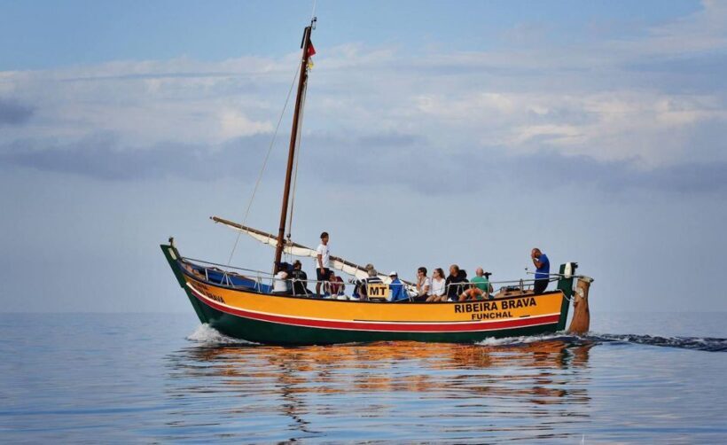 Madeira: Whale Watching Excursion in a Traditional Vessel - Who Is This Tour Best For?