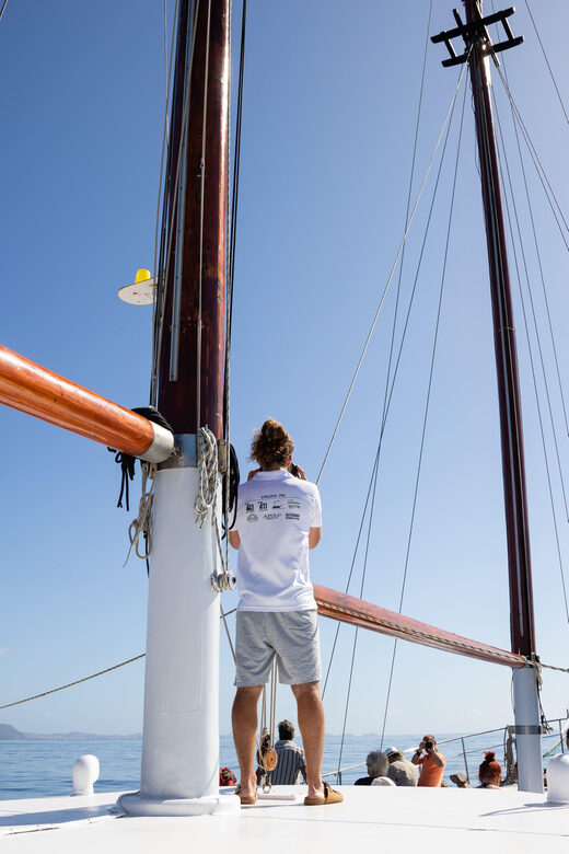 Madeira : Whales and Dolphins wooden boat excursion - Practical Tips for Travelers