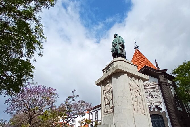 Madeira Wine Tasting and Funchal City tour - Real Traveler Feedback and Insights