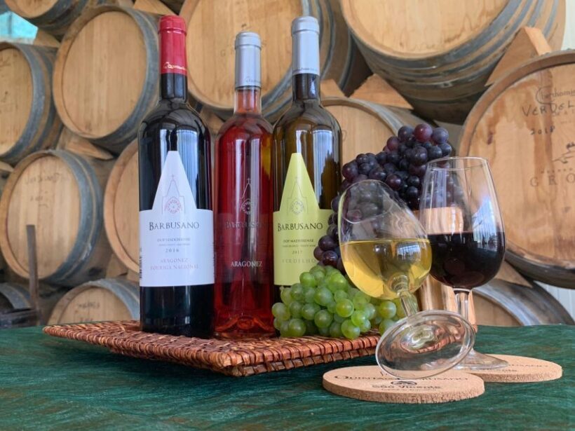 Madeira: Wine Tasting Experience Honey Museum and Cabo Girão - An Overview of the Experience