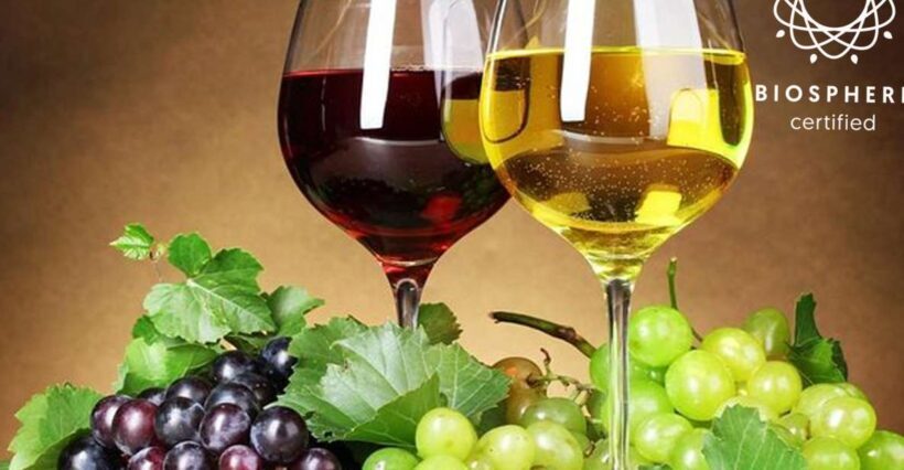 Madeira: Wine Tasting Experience Honey Museum and Cabo Girão - Madeira’s Vineyards and Wine Tasting