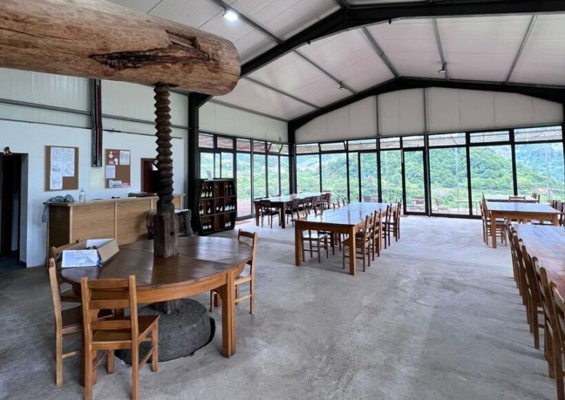 Madeira: Wine Tasting Guided Tour, Jeep Safari, & Viewpoints - An In-Depth Look at the Tour