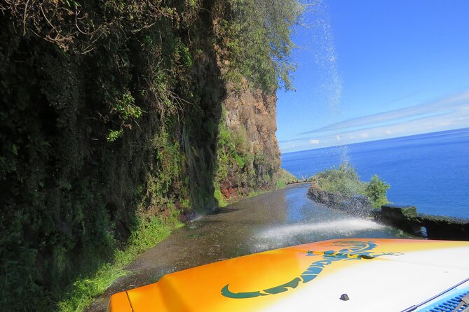Madeira's Majestic South Coastal Wonders - Authenticity and Insights from Reviewers