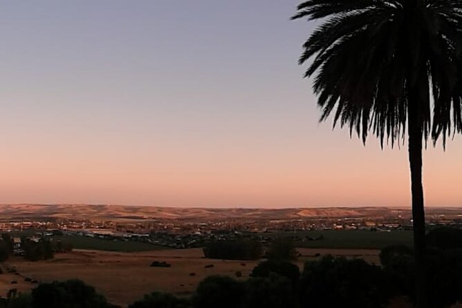 Madinat Al-Zahra Private Tour With an Expert - Meeting and Pickup Details