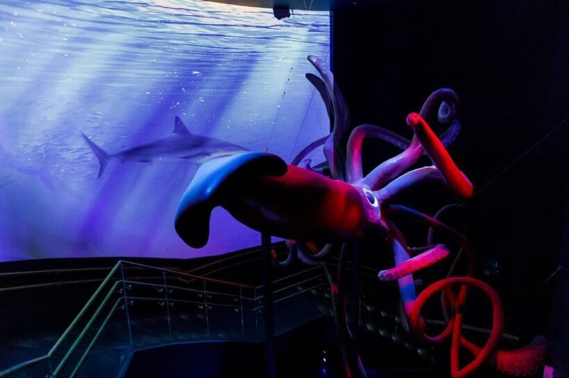 Madrid: Atlantis Aquarium Entry Ticket - An Introduction to the Atlantis Aquarium Madrid