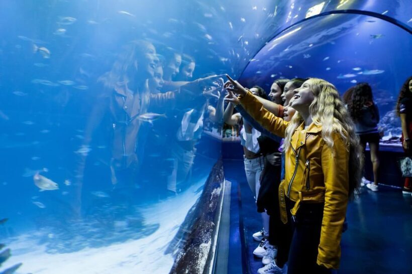 Madrid: Atlantis Aquarium Entry Ticket - The Highlights and Unique Features