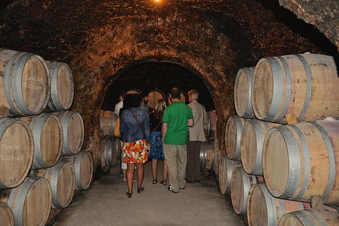 Madrid Countryside Wineries Guided Tour with Wine Tasting - Who Will Love This Tour?