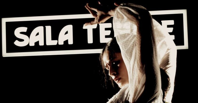 Madrid: Flamenco Show at Tablao Sala Temple with Drink - A Deep Dive into the Flamenco Experience at Sala Temple