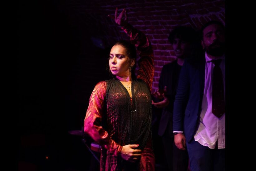 Madrid: Flamenco Show Entry Ticket with Drink & Artist Talk - Key Points