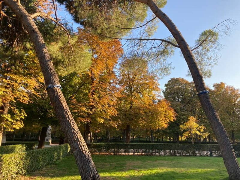 Madrid: Flow Yoga class in Retiro Park - FAQs