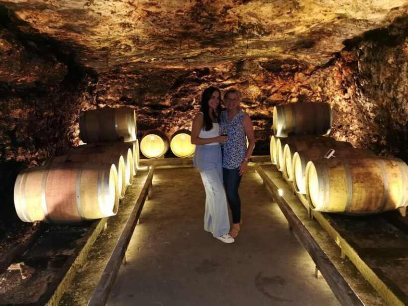 Madrid: half day wine region tour - An In-Depth Look at the Madrid Half-Day Wine Tour
