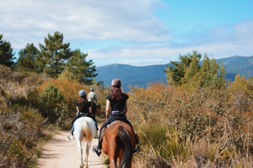 Madrid: Horse Riding in Sierra del Guadarrama National Park - An In-Depth Look at the Horse Riding Tour