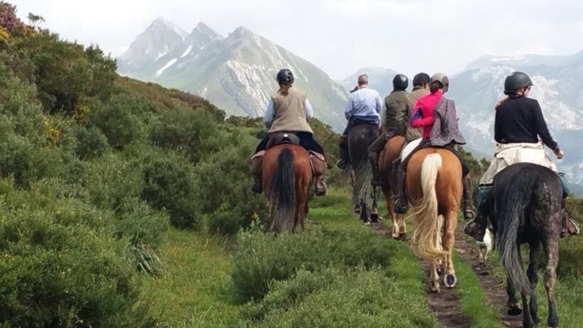 Madrid: Horse Riding in Sierra del Guadarrama National Park - The Value of This Experience