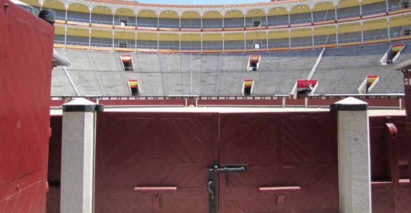 Madrid: Las Ventas Bullring VIP Private Guided Tour - What to Consider