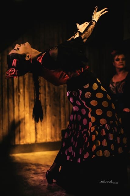 Madrid: Local Flamenco Show at El Cortijo - A Closer Look at the Flamenco Experience