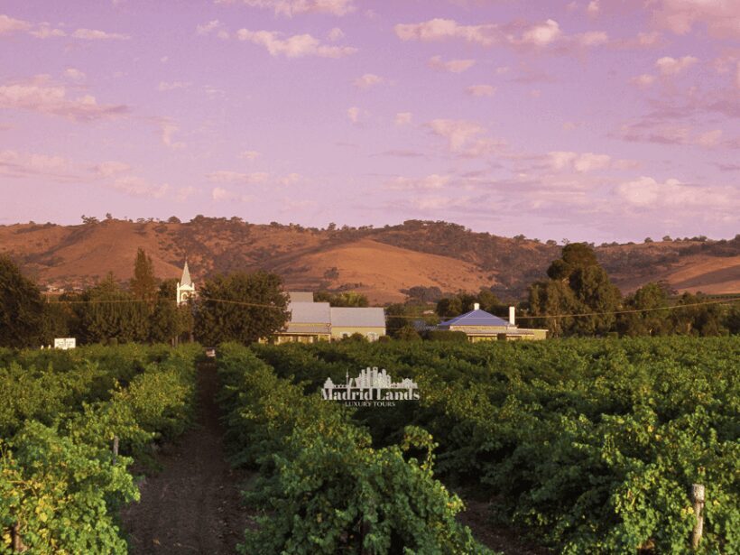 Madrid: Luxury Winery Emilio Moro Tour - Who Would Love This Tour?