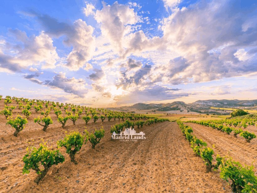 Madrid: Luxury Winner and Ribera del Duero Tour - Key Points