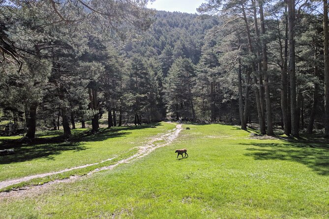 Madrid Mountains Free Walking Tour - The Itinerary and Highlights: What to Expect