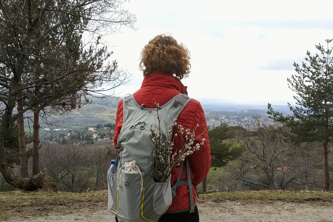 Madrid Mountains Free Walking Tour - Why This Tour Excels