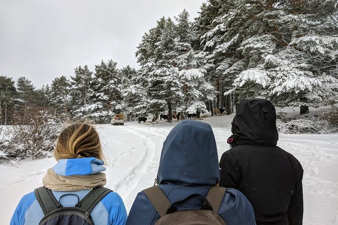 Madrid Mountains Free Walking Tour - Who Should Consider This Tour?