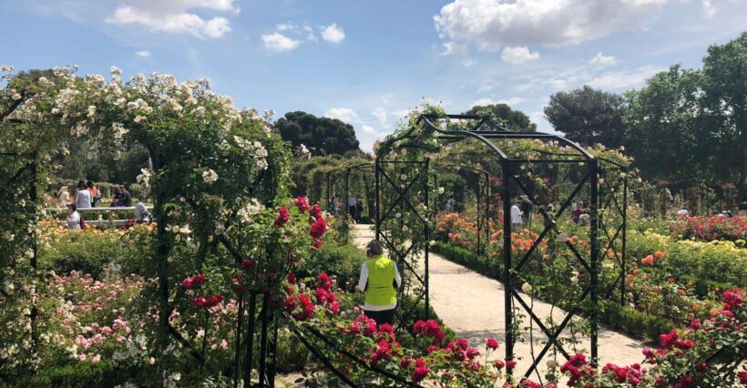 Madrid: Prado Avenue and Retiro Park Guided Walking Tour - Who Will Benefit from This Tour?