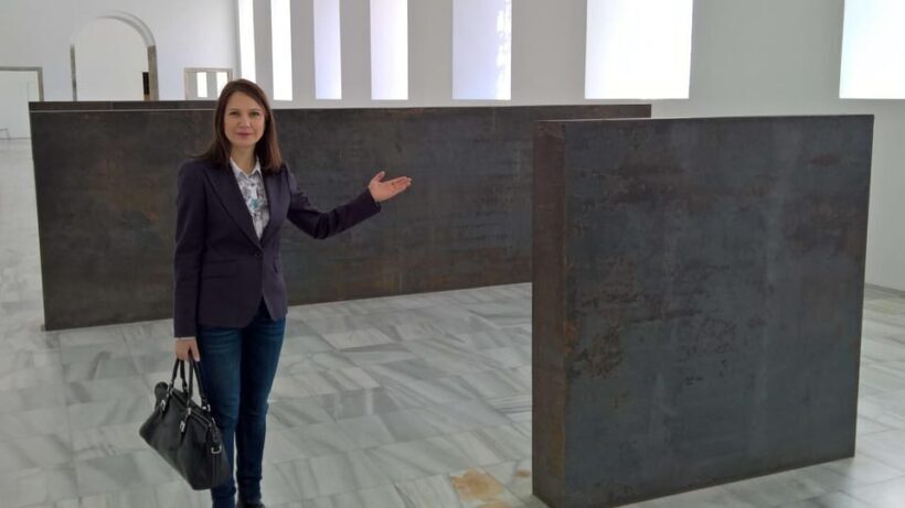 Madrid Reina Sofia Museum & Picasso's Guernica Private Tour - Madrid Reina Sofia Museum & Picassos Guernica Private Tour: A Deep Dive into Modern Art