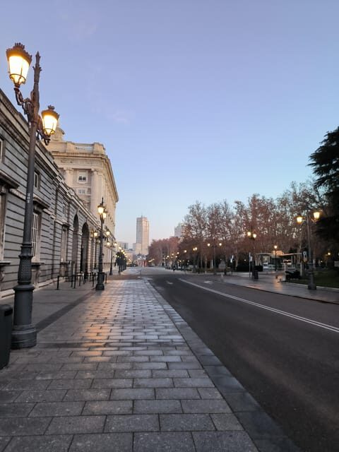 Madrid: Royal Palace & Prado Museum Private Tour - FAQ