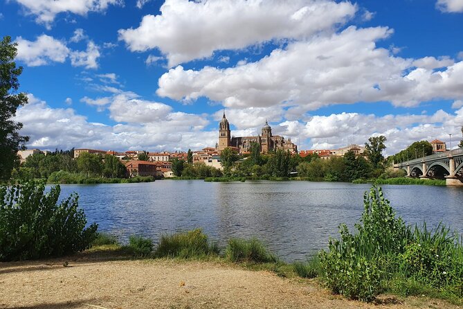 Madrid to Porto day trip up to 2 stops (Avila and Salamanca) - FAQ