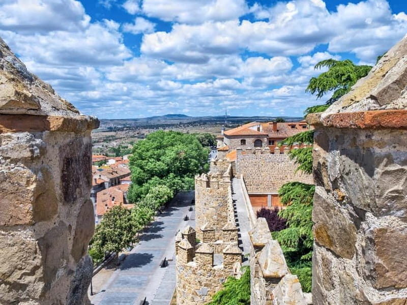 Madrid: Tour in Avila & Salamanca - Who Should Consider This Tour?