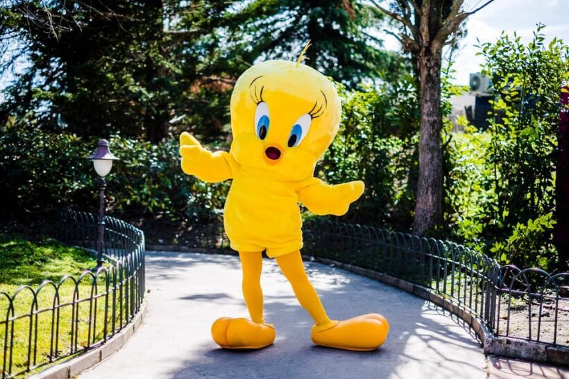 Madrid: Warner Park Entry Ticket - The Rides and Attractions – What to Expect